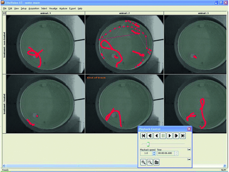 De la Rosa Research - Details